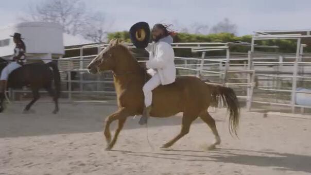 Projects | Danielle Levitt