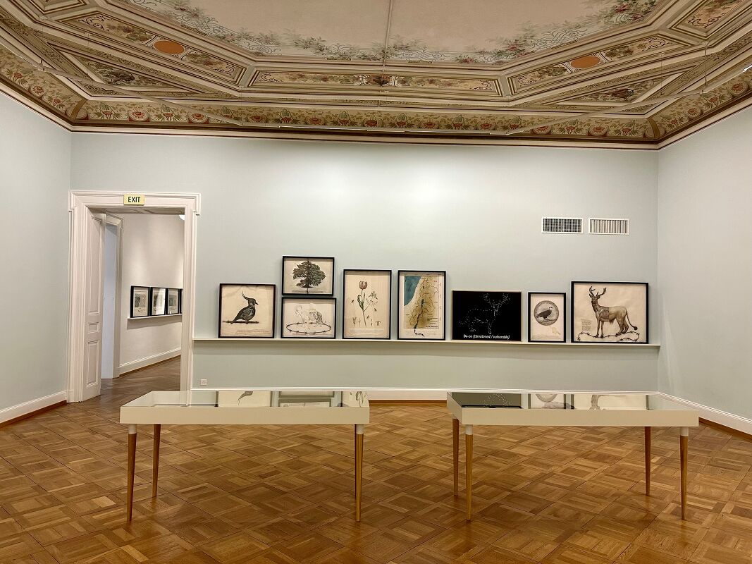 Nature Morte – Deep Rivers Run Quiet, Reena Saini Kallat