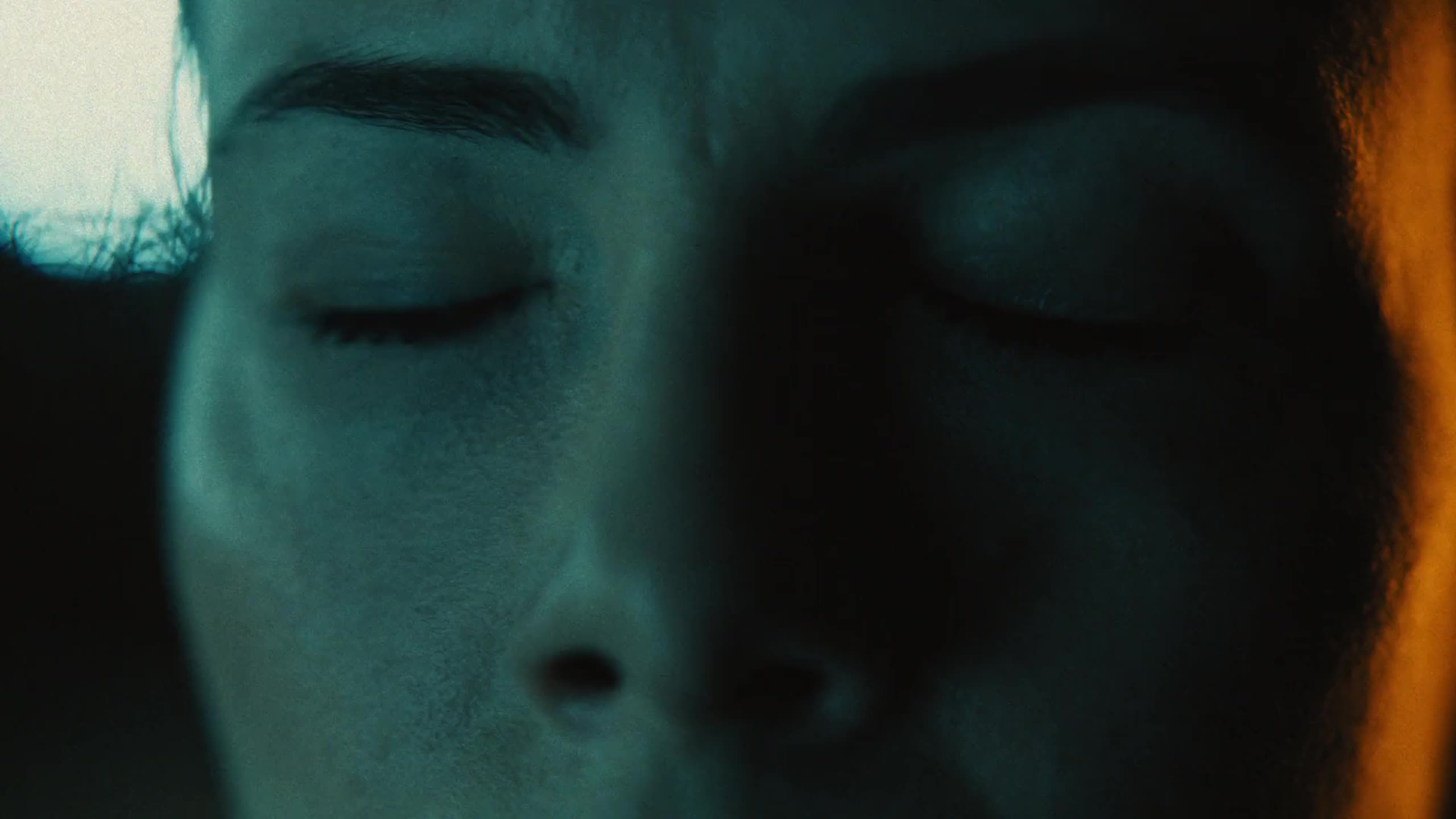 The Directors: Nora Kirkpatrick, Furlined