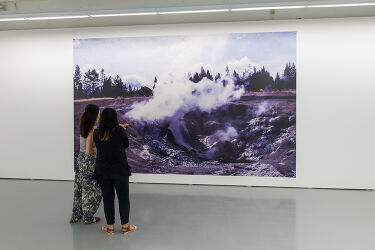 Nature Morte – Navin Thomas