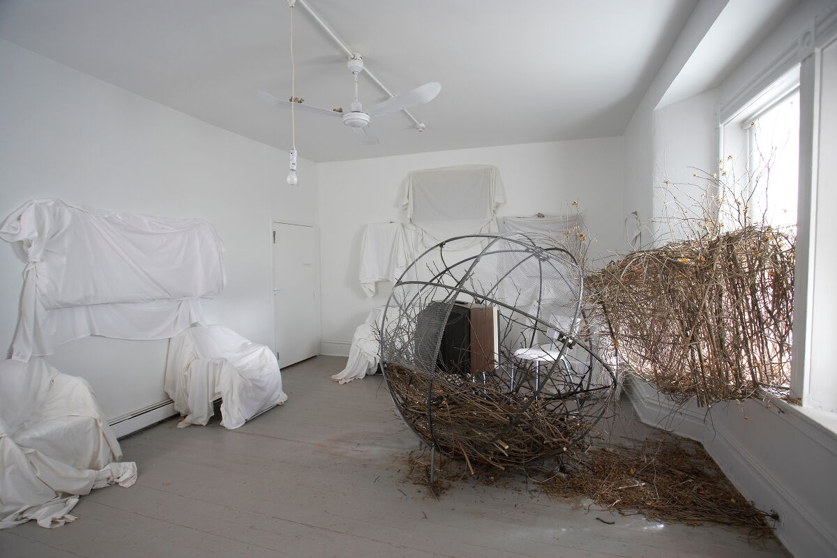 Nature Morte – Navin Thomas