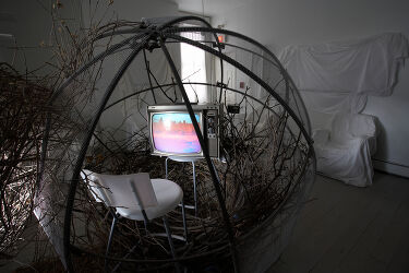 Nature Morte – Navin Thomas