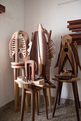 Nature Morte – Navin Thomas