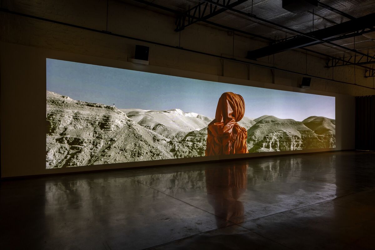 Nature Morte – Installation View