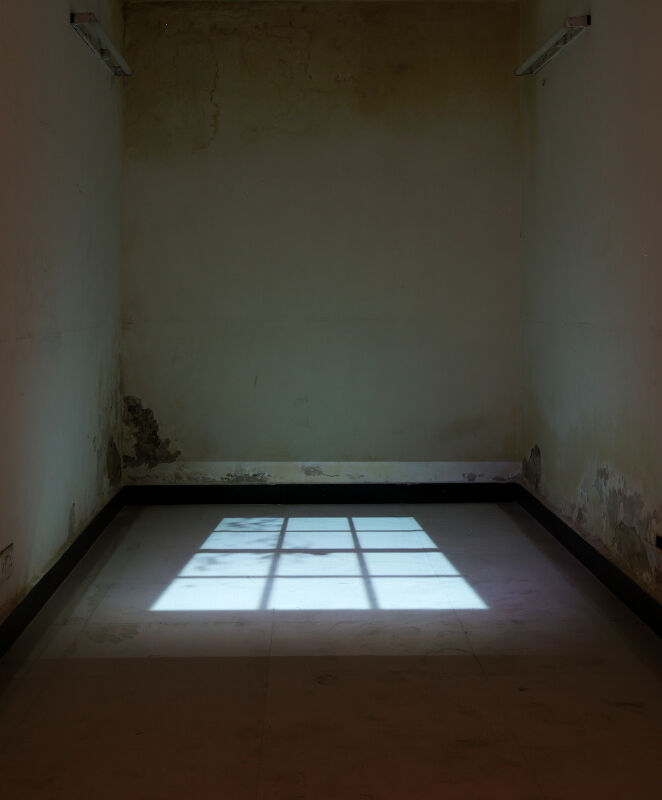 Nature Morte – Parul Gupta