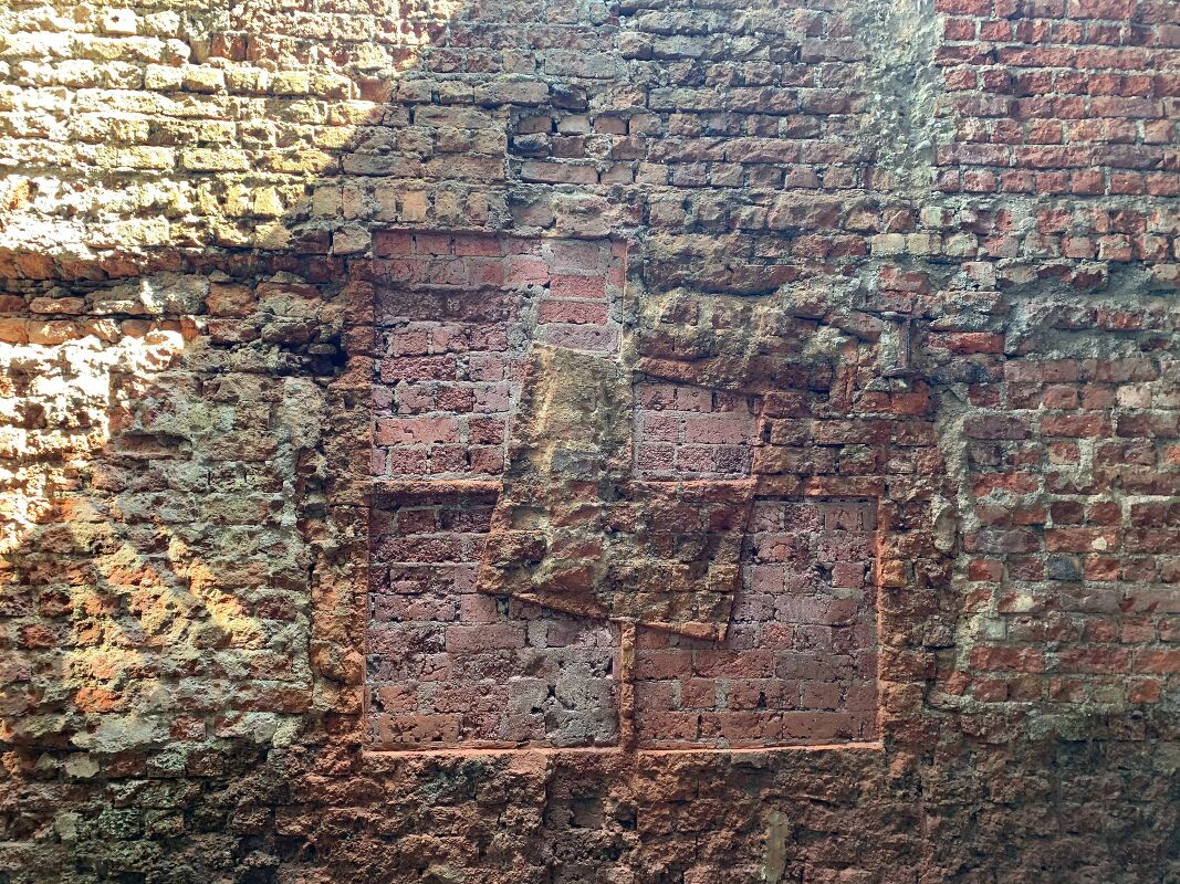 Nature Morte – Parul Gupta