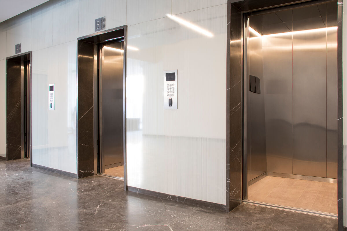 Nature Morte – Parul Gupta