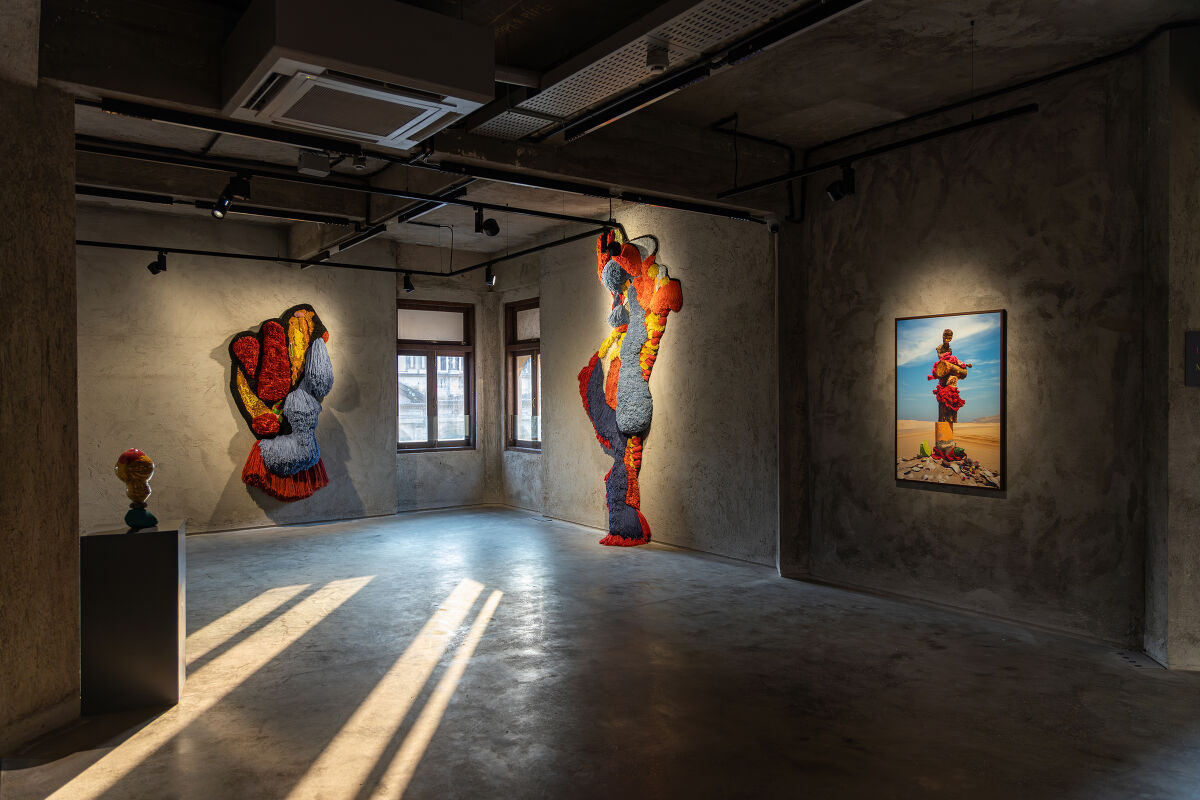 Nature Morte – METAMORPHOSIS