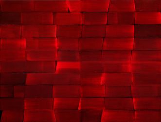 Nature Morte – Untitled, Velu Viswanadhan