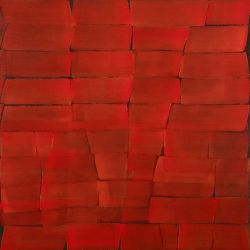 Nature Morte – Untitled, Velu Viswanadhan