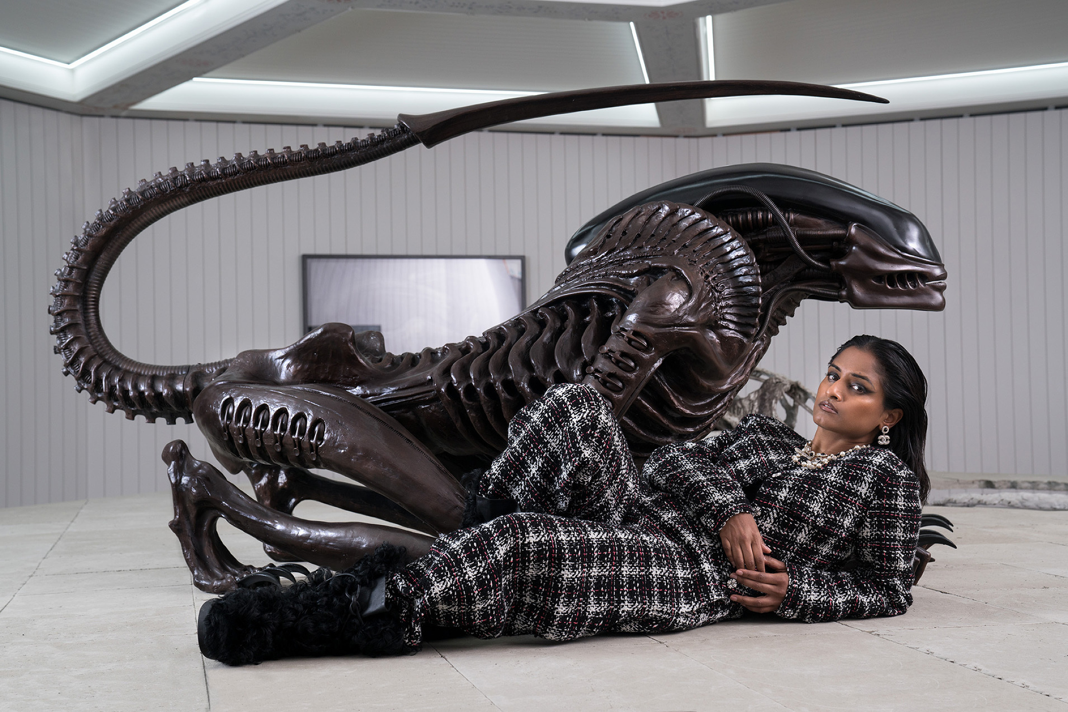 Featured — Shotview