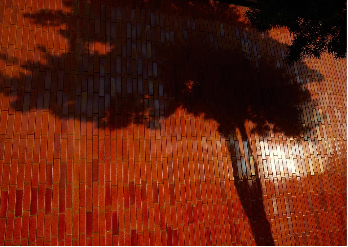 WONDERLAND | RUBY RUBY RUBY — Shotview